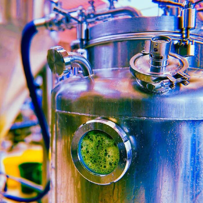 Hopsmaster 500 (cold hopping device) for breweries